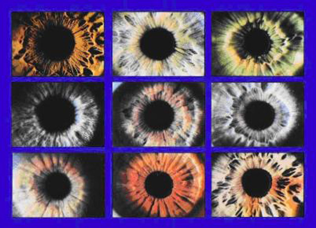 Das Auge – mehr als der Sitz der Seele: Dies sagt deine Iris über DICH ...